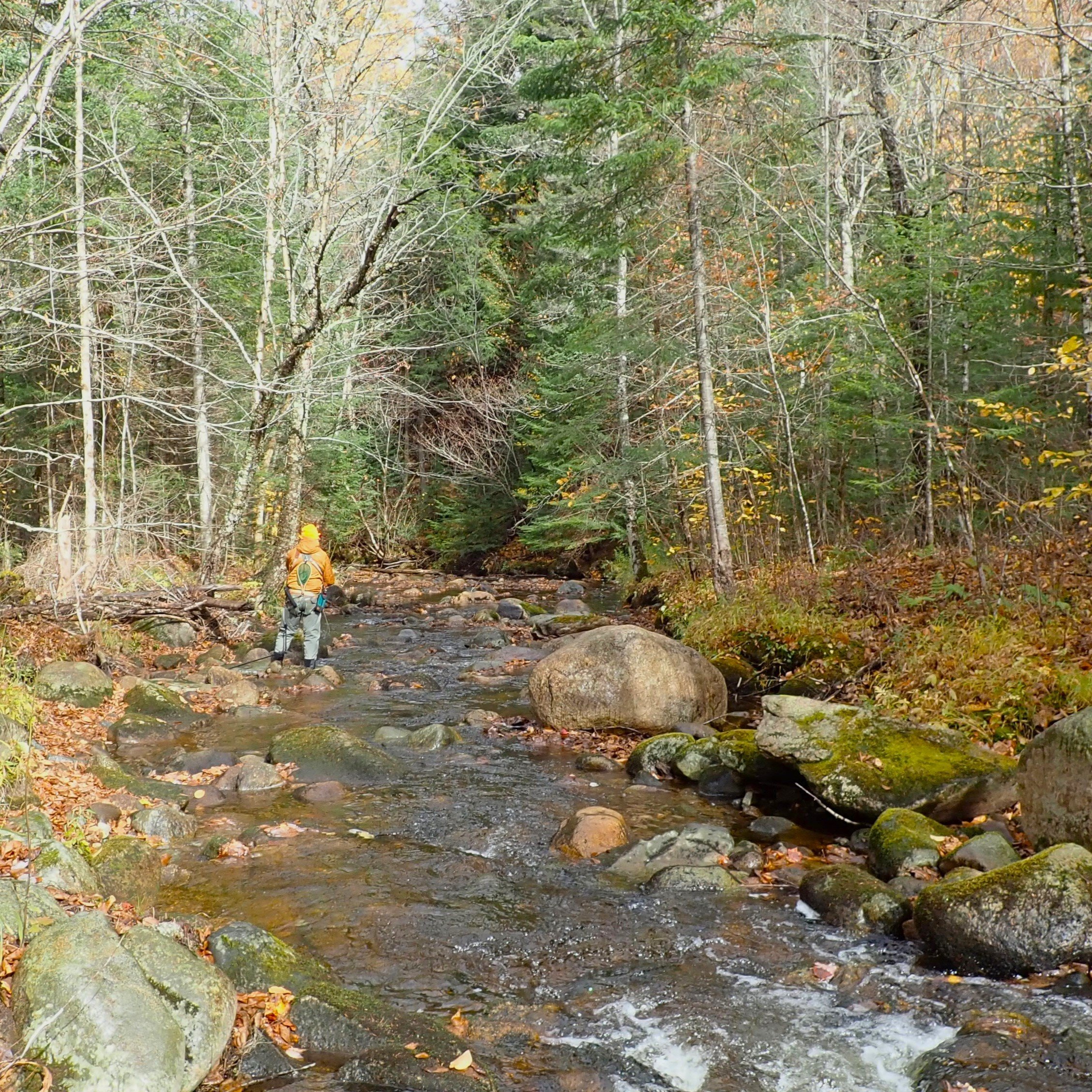 Ohio — Native Fish Coalition