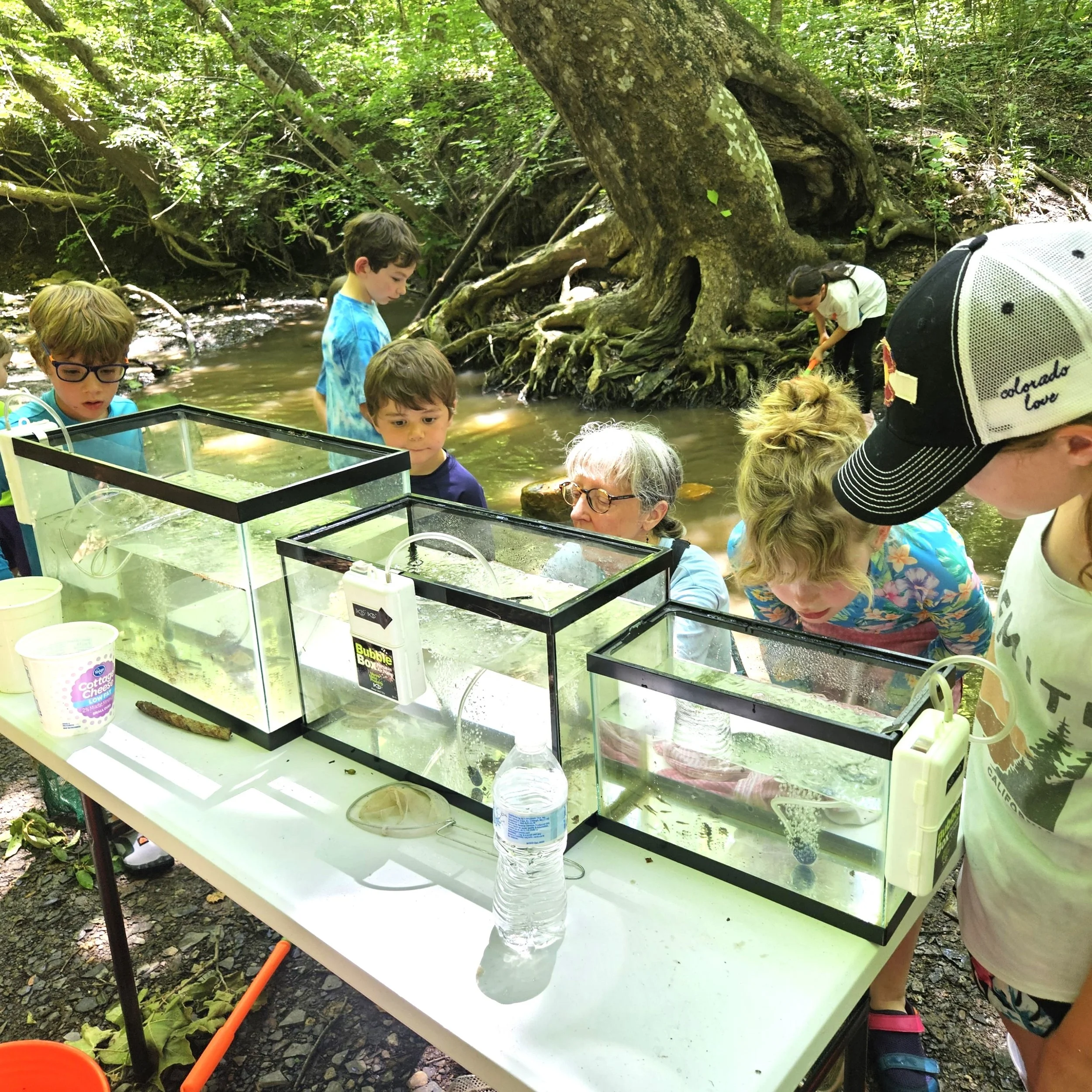 Ohio — Native Fish Coalition