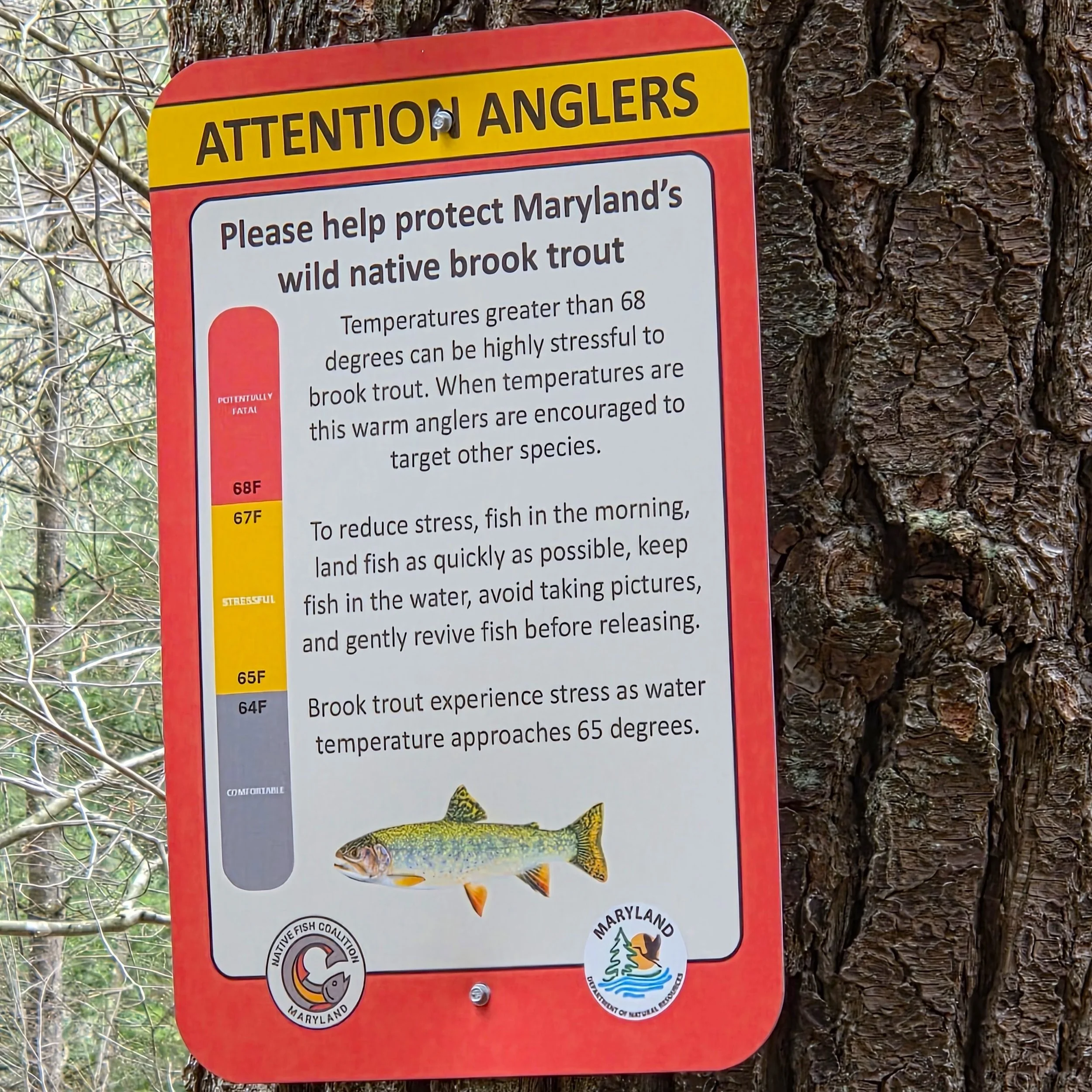 Rhode Island — Native Fish Coalition