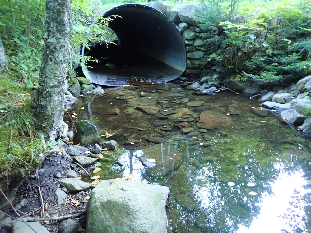 NFC Deploys Temp Loggers in NH Stream to Better Understand Impact of ...