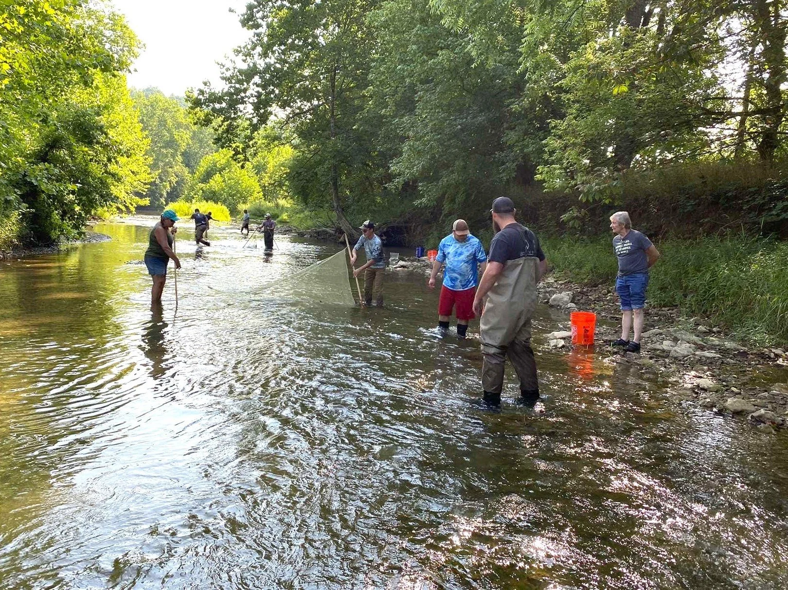 Ohio NFC Hosts Stream Sampling Event on Captina Creek... — Native Fish ...