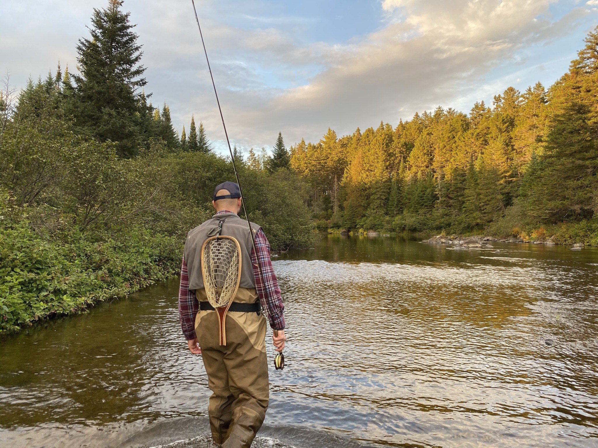 MICHAEL ANGELIDES — Native Fish Coalition