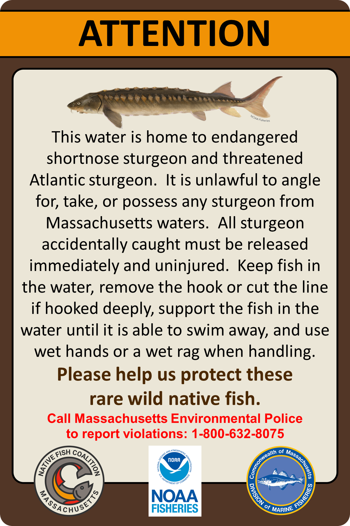 MASSACHUSETTS STURGEON SIGN — Native Fish Coalition