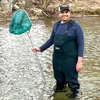 THOMAS LYONS — Native Fish Coalition