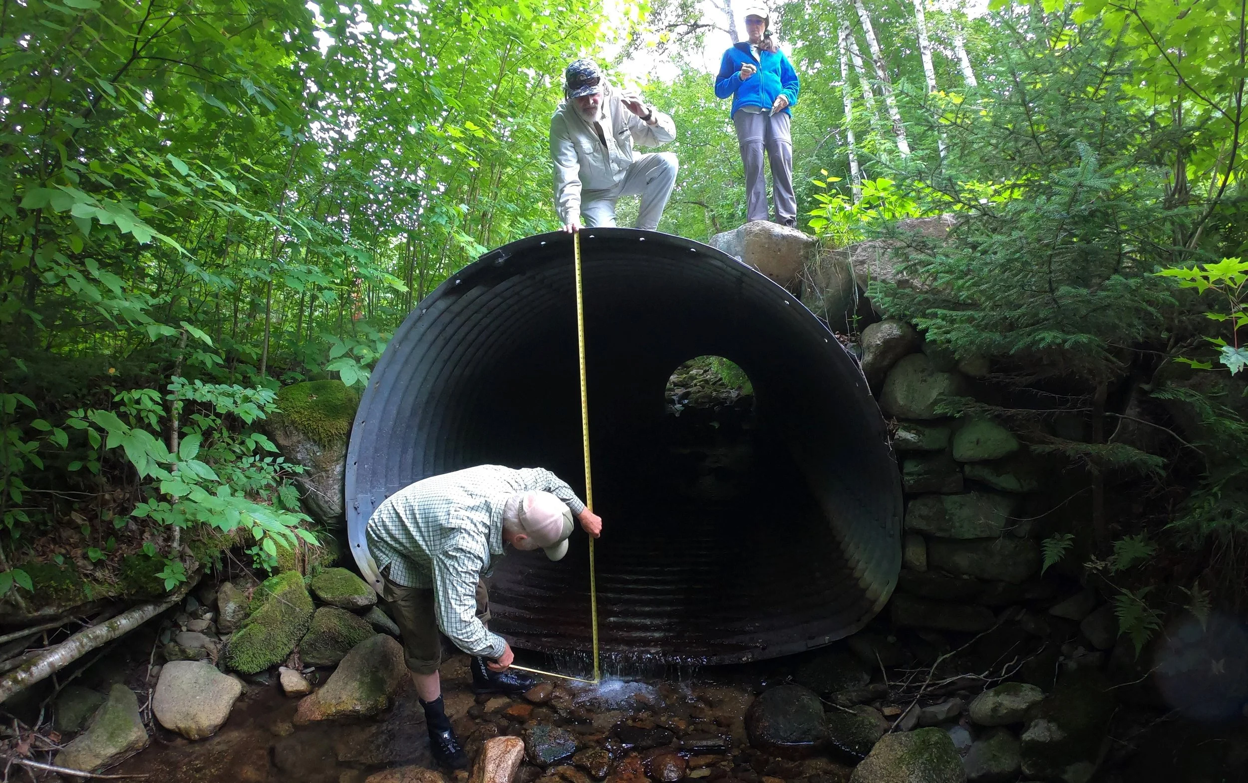 Chapter Spotlight: New Hampshire... — Native Fish Coalition