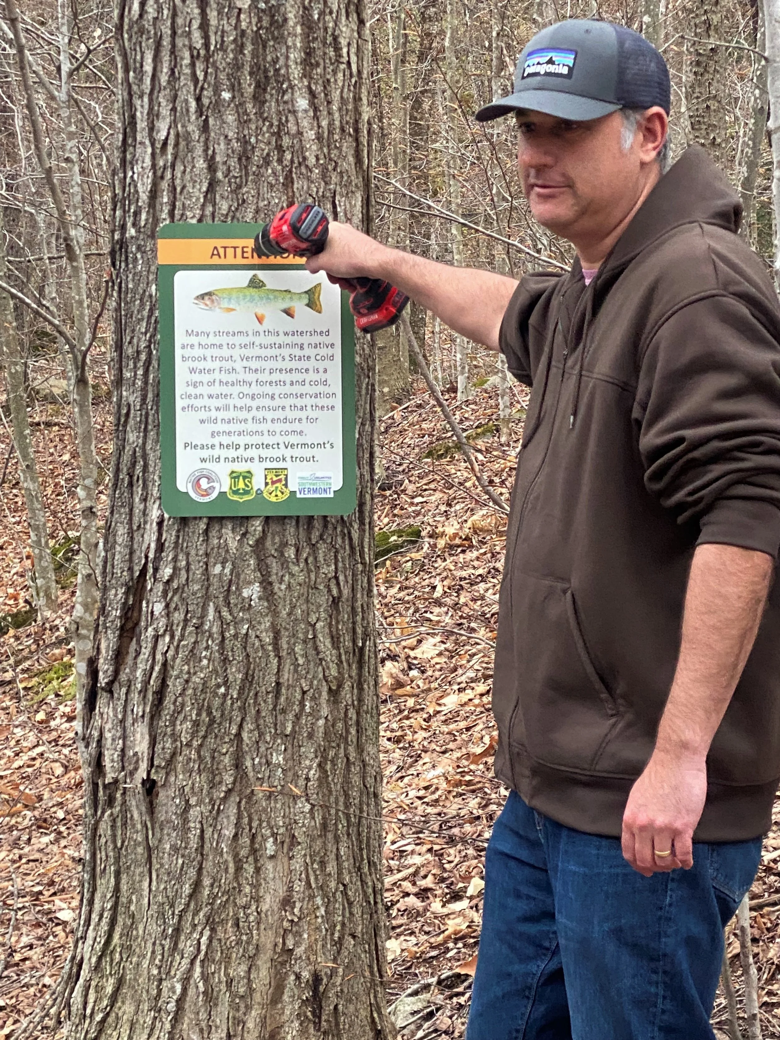 Greater Bennington Vermont Gets Wild Brook trout Signs — Native Fish ...