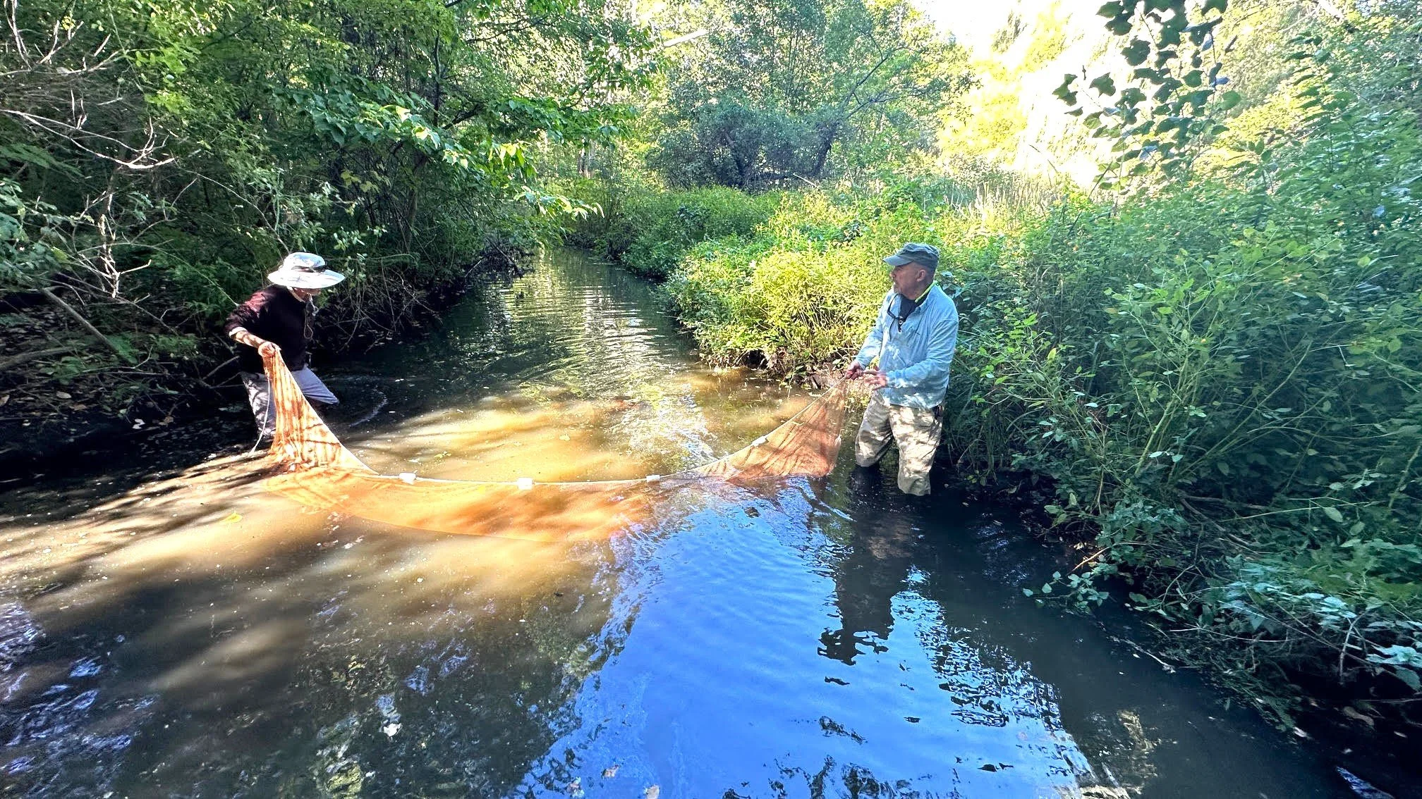NCF's Work on Suburban and Urban Streams Spotlighted in Media ...