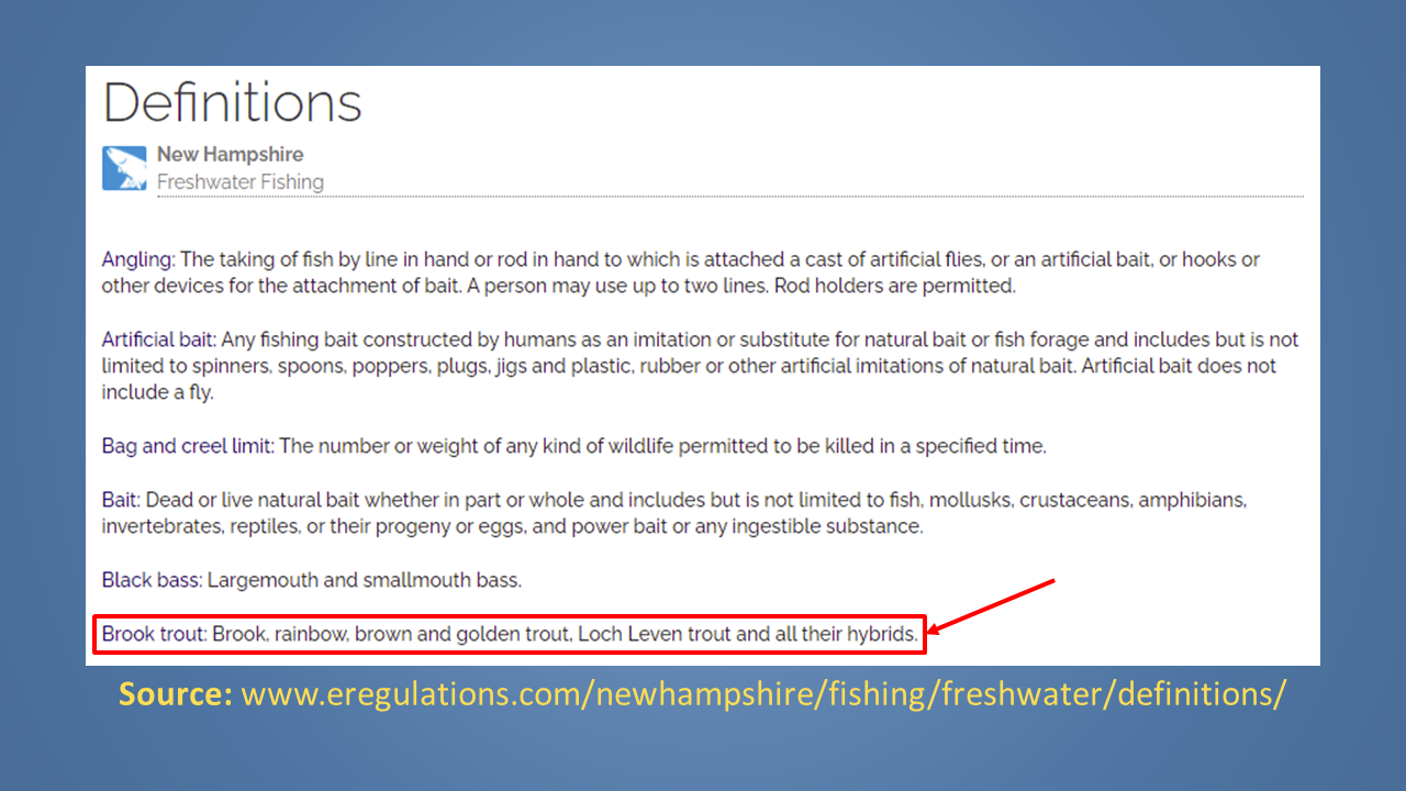 A Victory for Wild Native Brook Trout in New Hampshire... — Native Fish ...