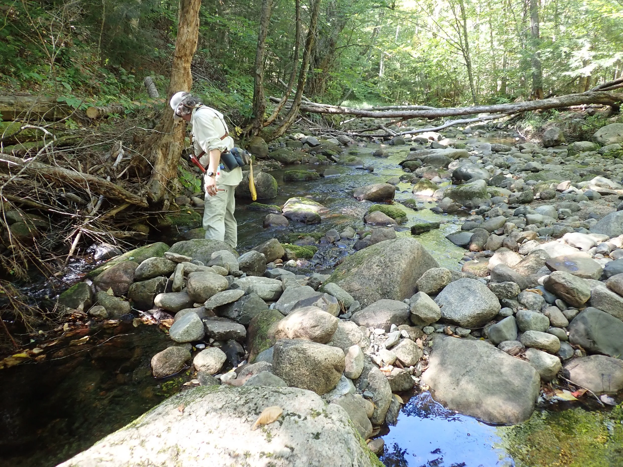 Manmade Rock Dams: It's That Time Again... — Native Fish Coalition