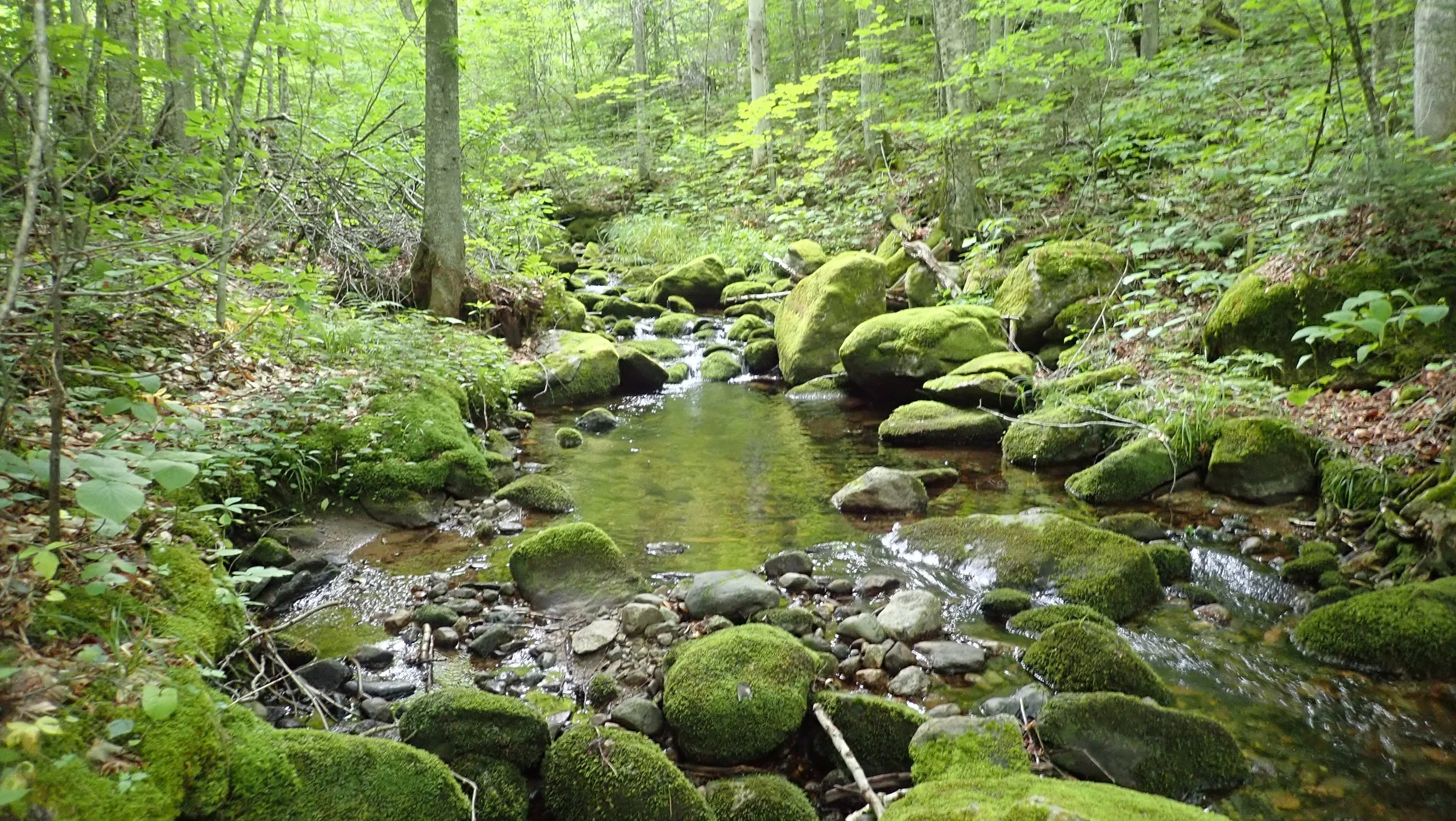 HOLISTIC STREAM ASSESSMENT/RESTORATION: UNNAMED BROOK, NEW HAMPSHIRE ...