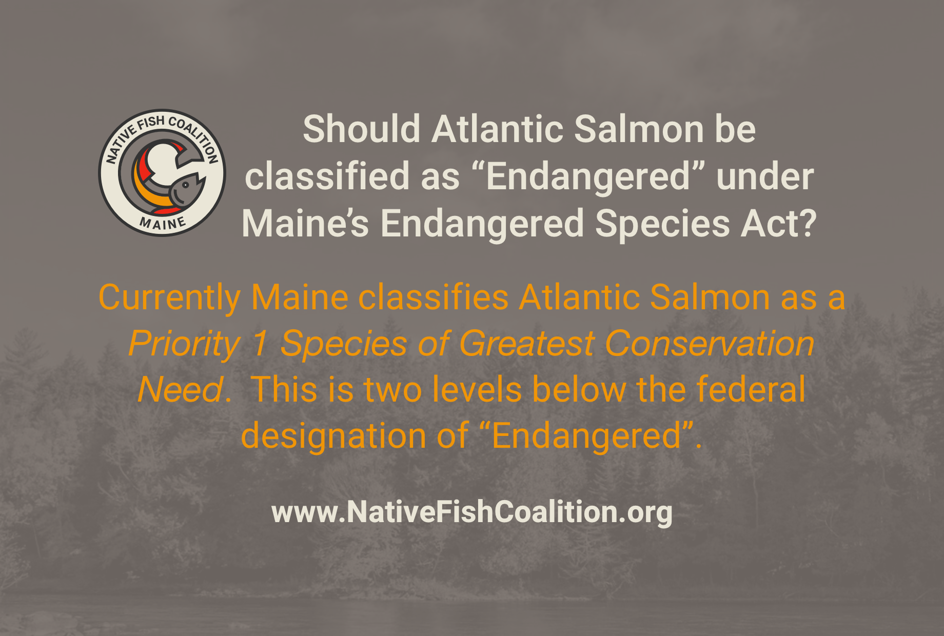 Maine Atlantic Salmon State Listing... — Native Fish Coalition