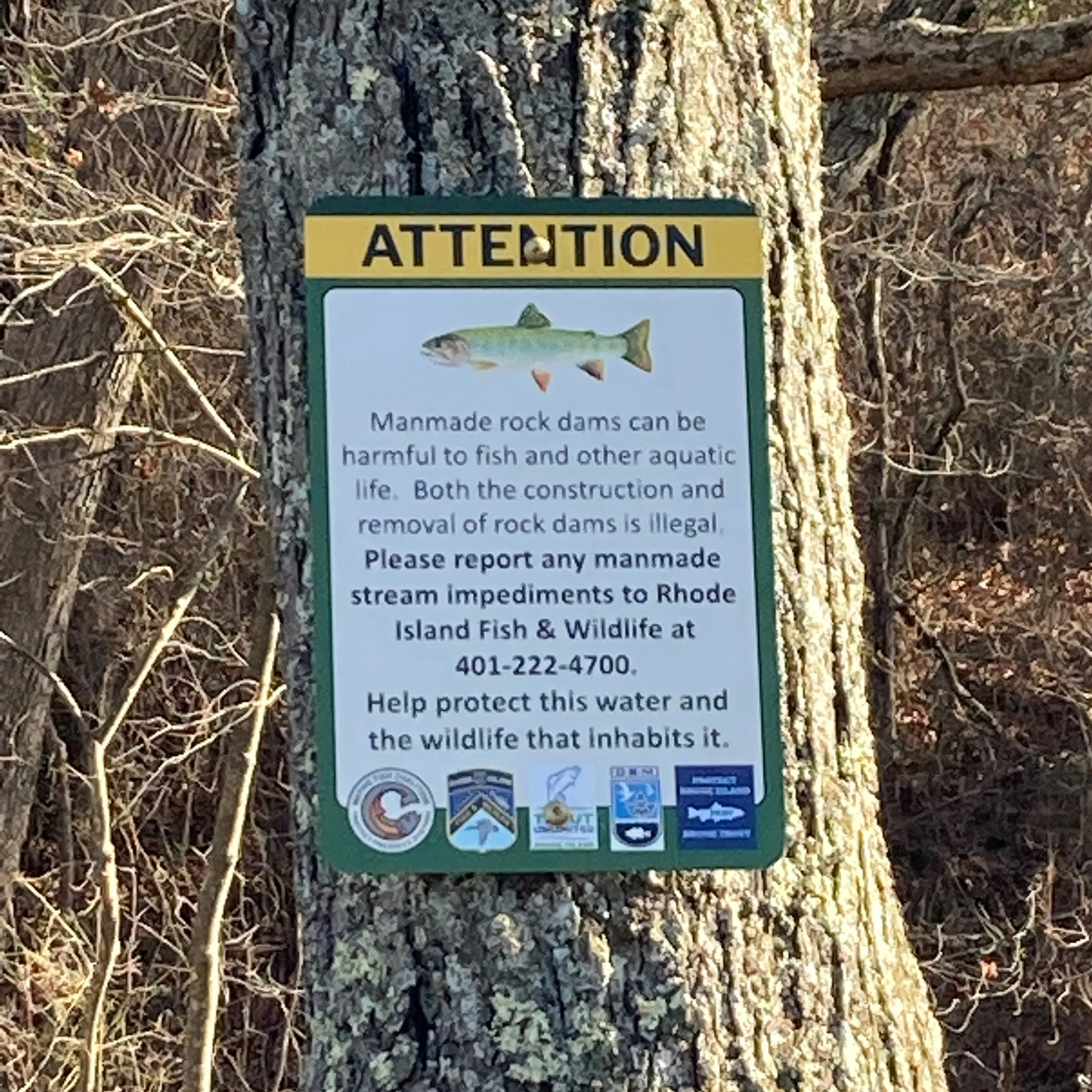 Fall is Rock Dam Removal Time... — Native Fish Coalition