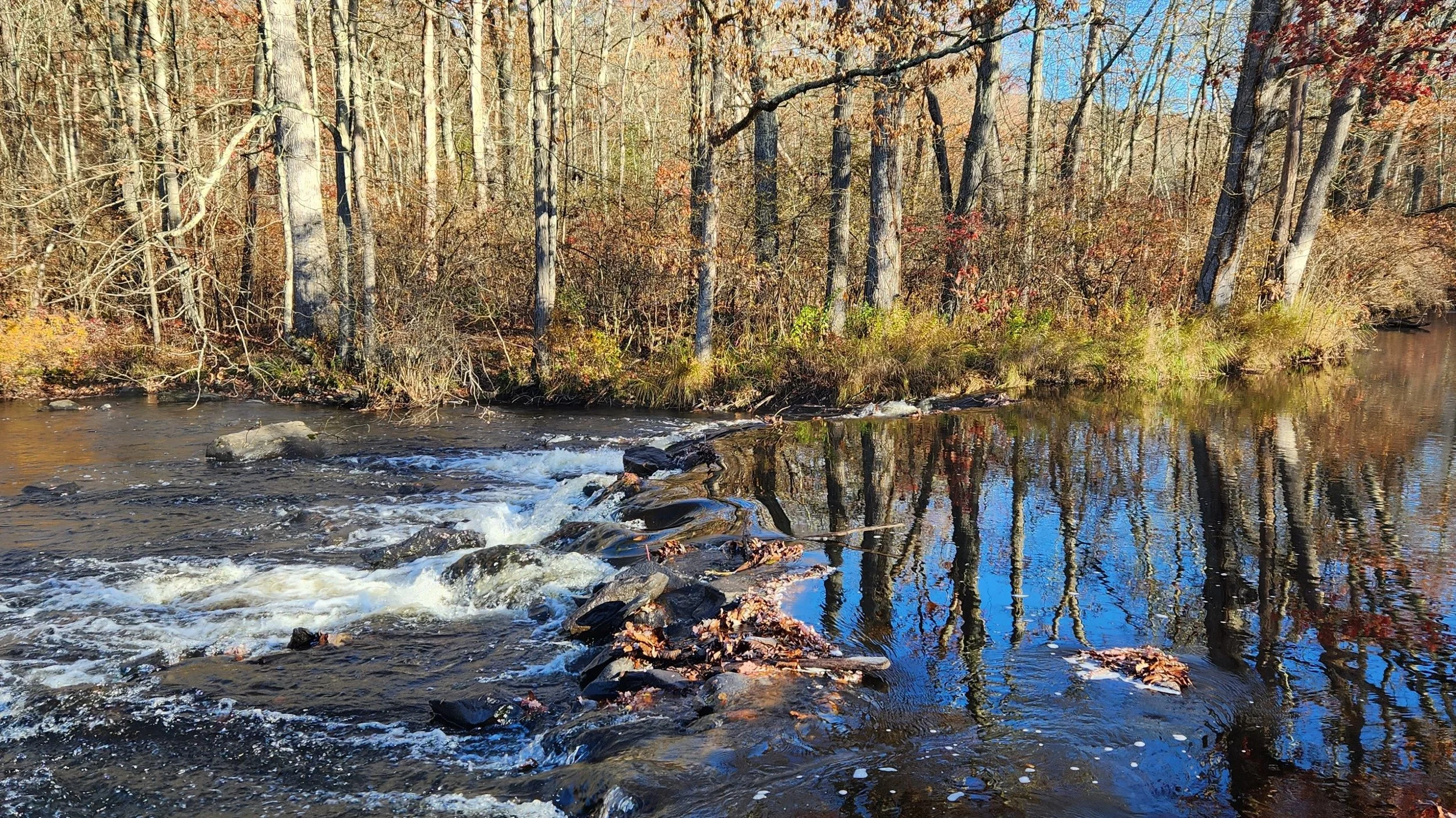 PA NFC Tears Down Manmade Rock Dam on Bushkill Creek — Native Fish ...