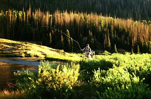 LUKE WAELDNER — Native Fish Coalition