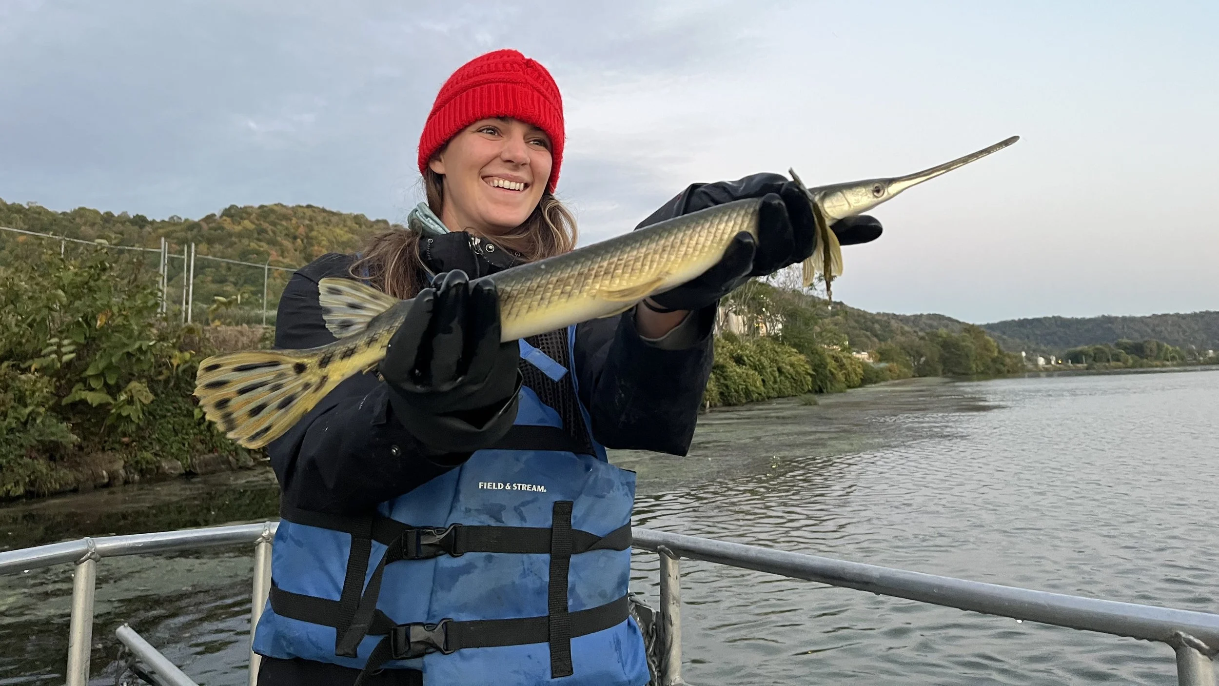 EMILY RATTELLE — Native Fish Coalition
