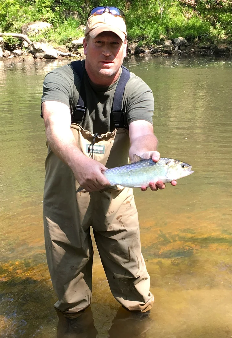 DAVE HOPLER — Native Fish Coalition