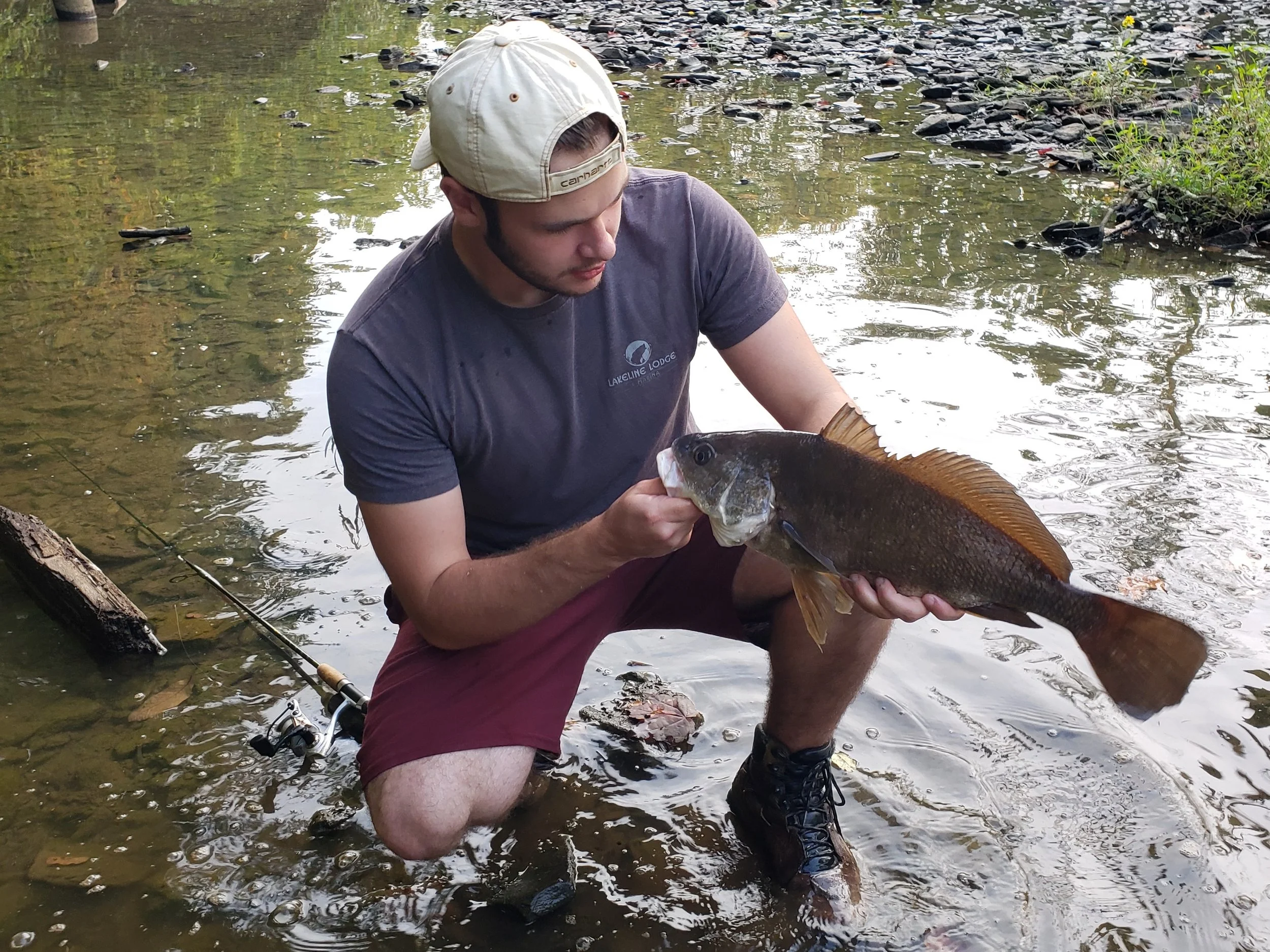 CAMERON LAYNE — Native Fish Coalition