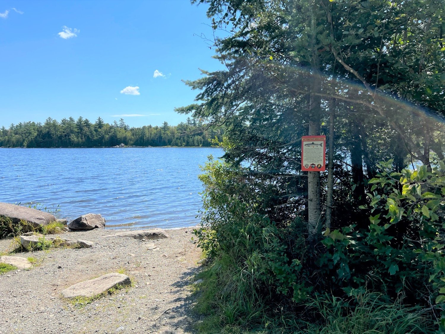 Maine's Bald Mountain Pond Gets Rare Arctic Charr Signs — Native Fish ...