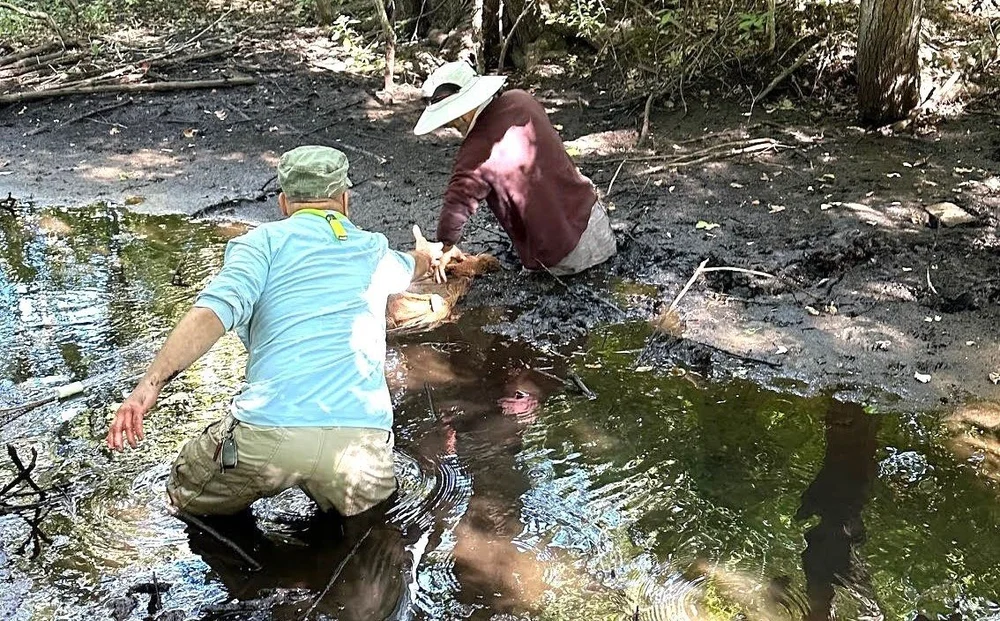 Massachusetts — Native Fish Coalition