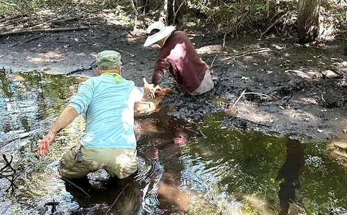 Massachusetts — Native Fish Coalition