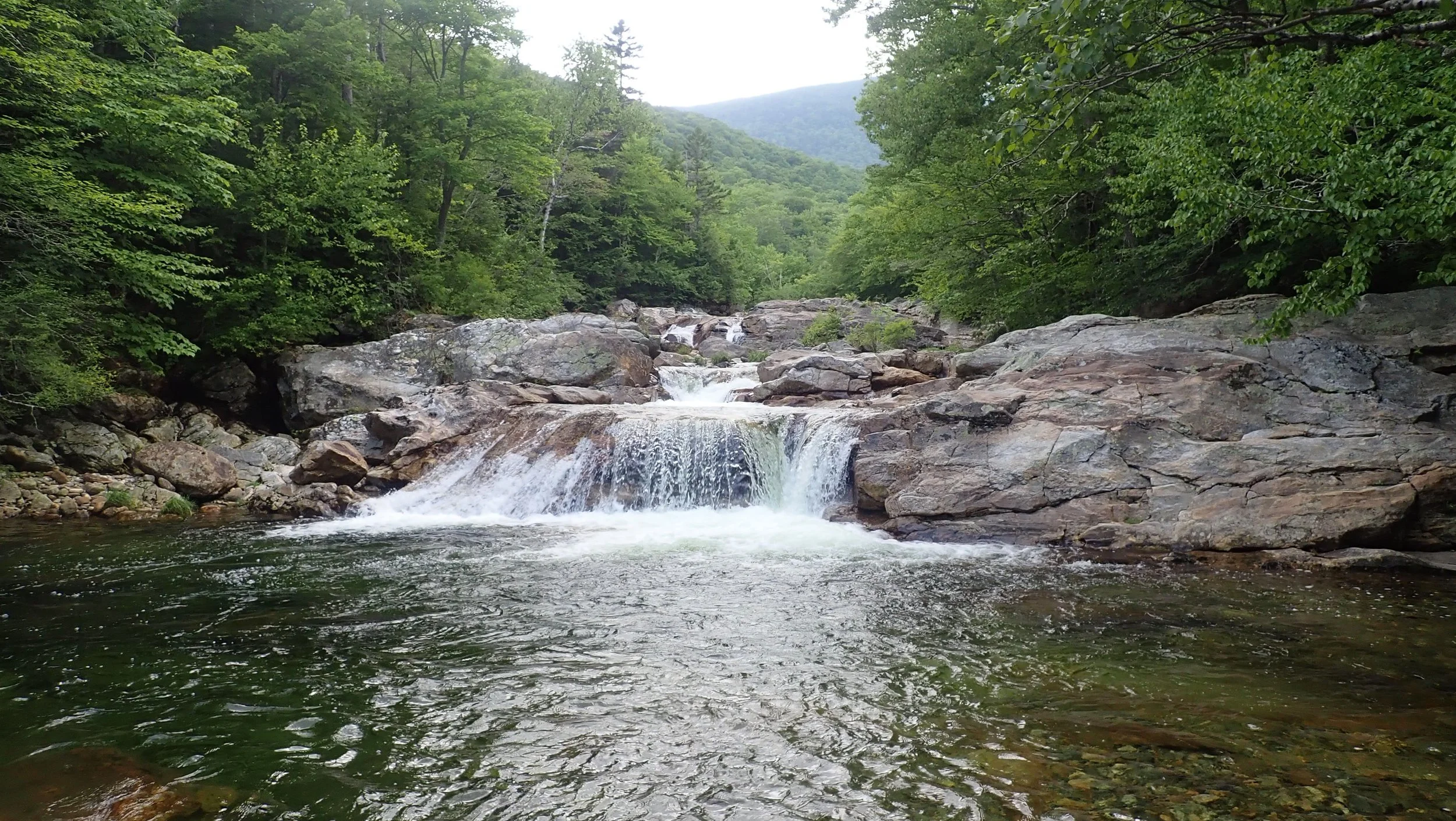 NFC Summer 2023 New Hampshire Outing... — Native Fish Coalition