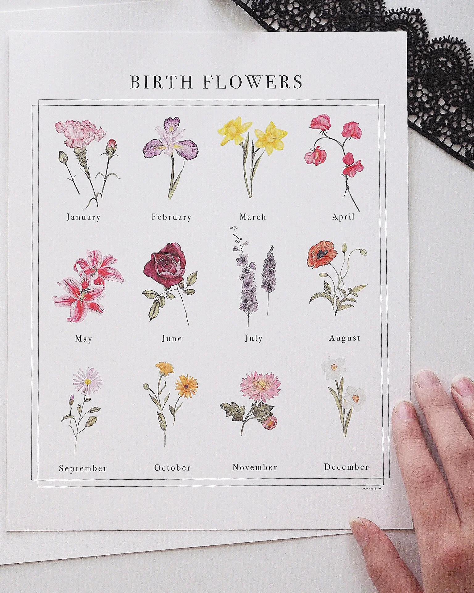 Birth Flowers Chart — ANNA LIISA MOSS