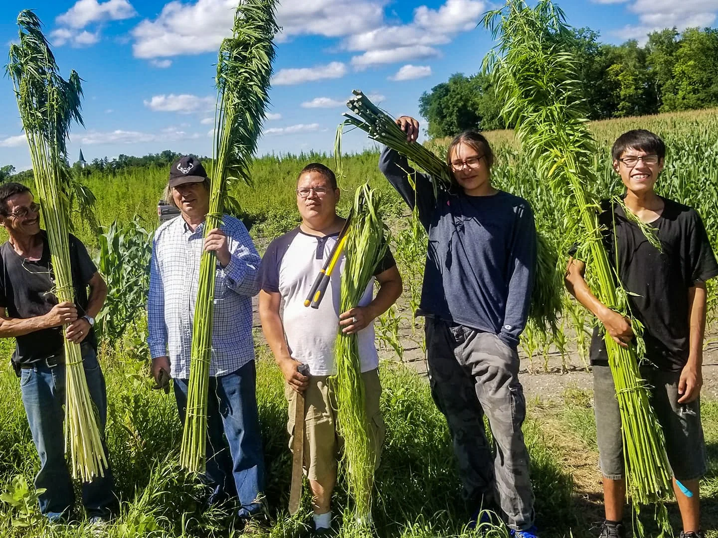 Our Hemp — Winona's Hemp & Heritage Farm
