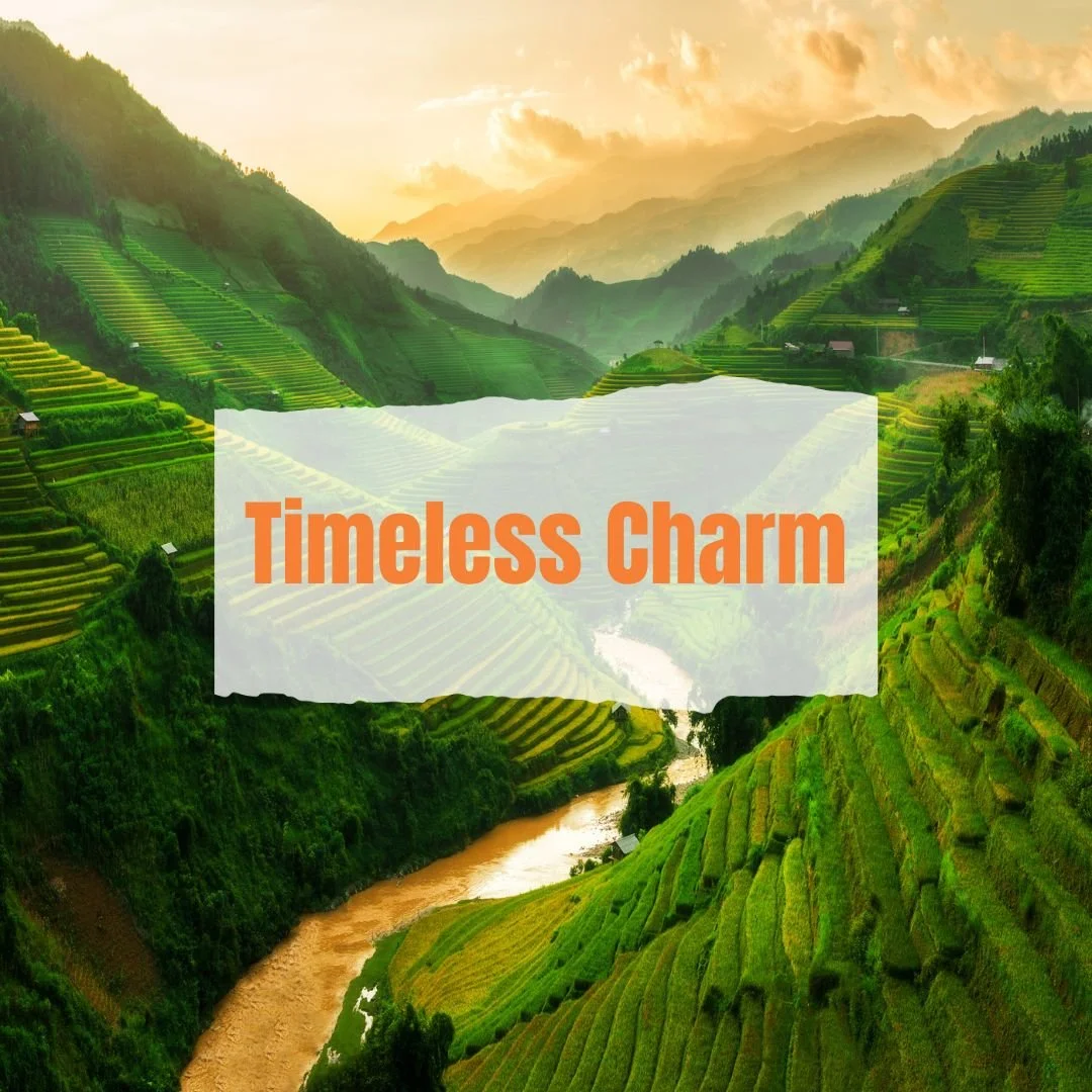 GROUP TRIPS — Overton Travel