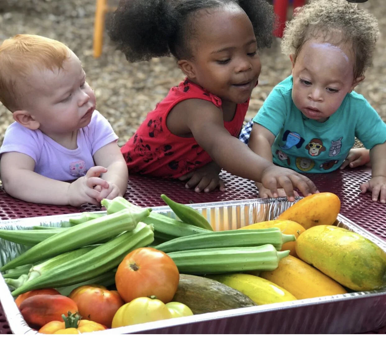 Nutrition Program — Kidzz First Child Development Center, Inc