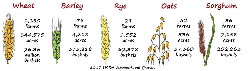 Kentucky Wheat Facts — Kentucky Small Grain Growers Association