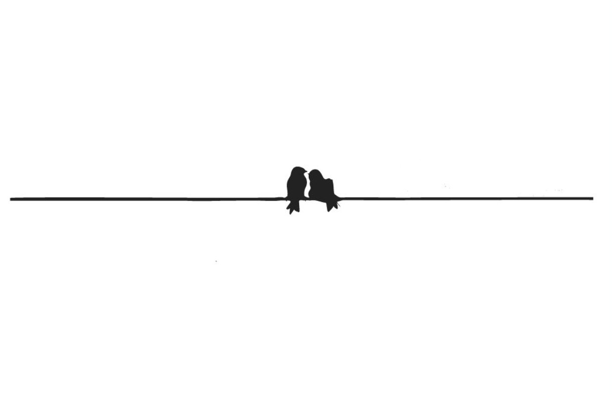 Birds On A String — Diza Sauers Consulting