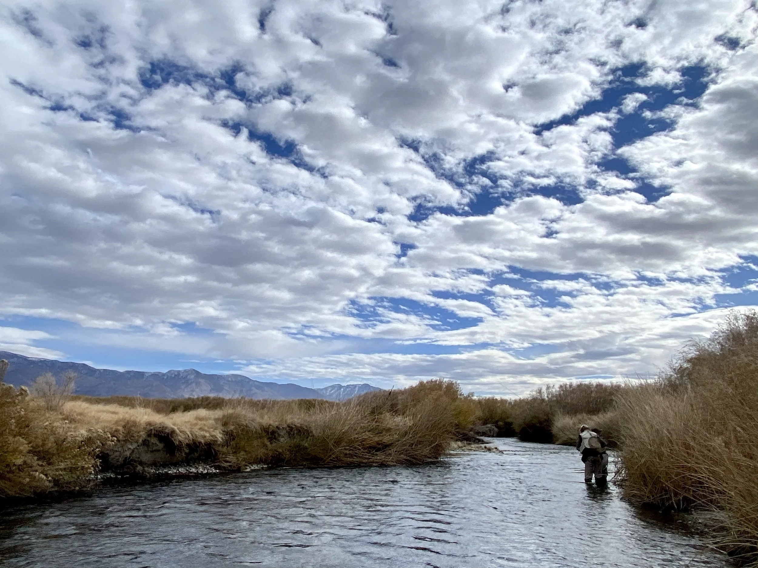 Lower Owens River | Bishop, CA February 18 & 19, 2023 — Southern Sierra ...