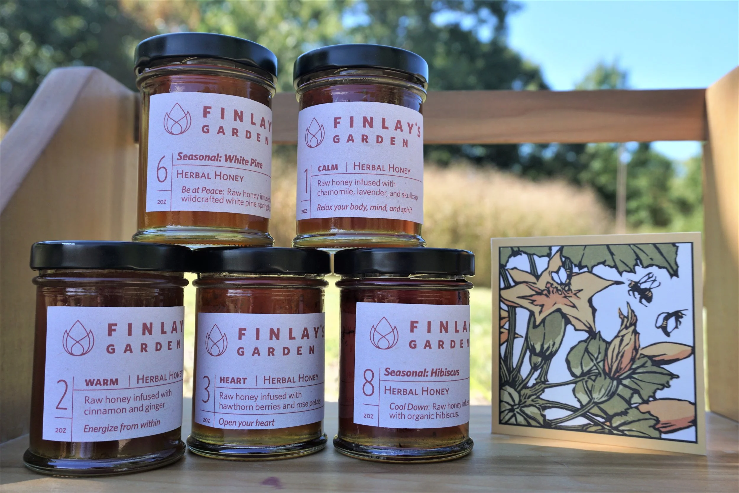 Inviting Abundance - About Finlay's Garden