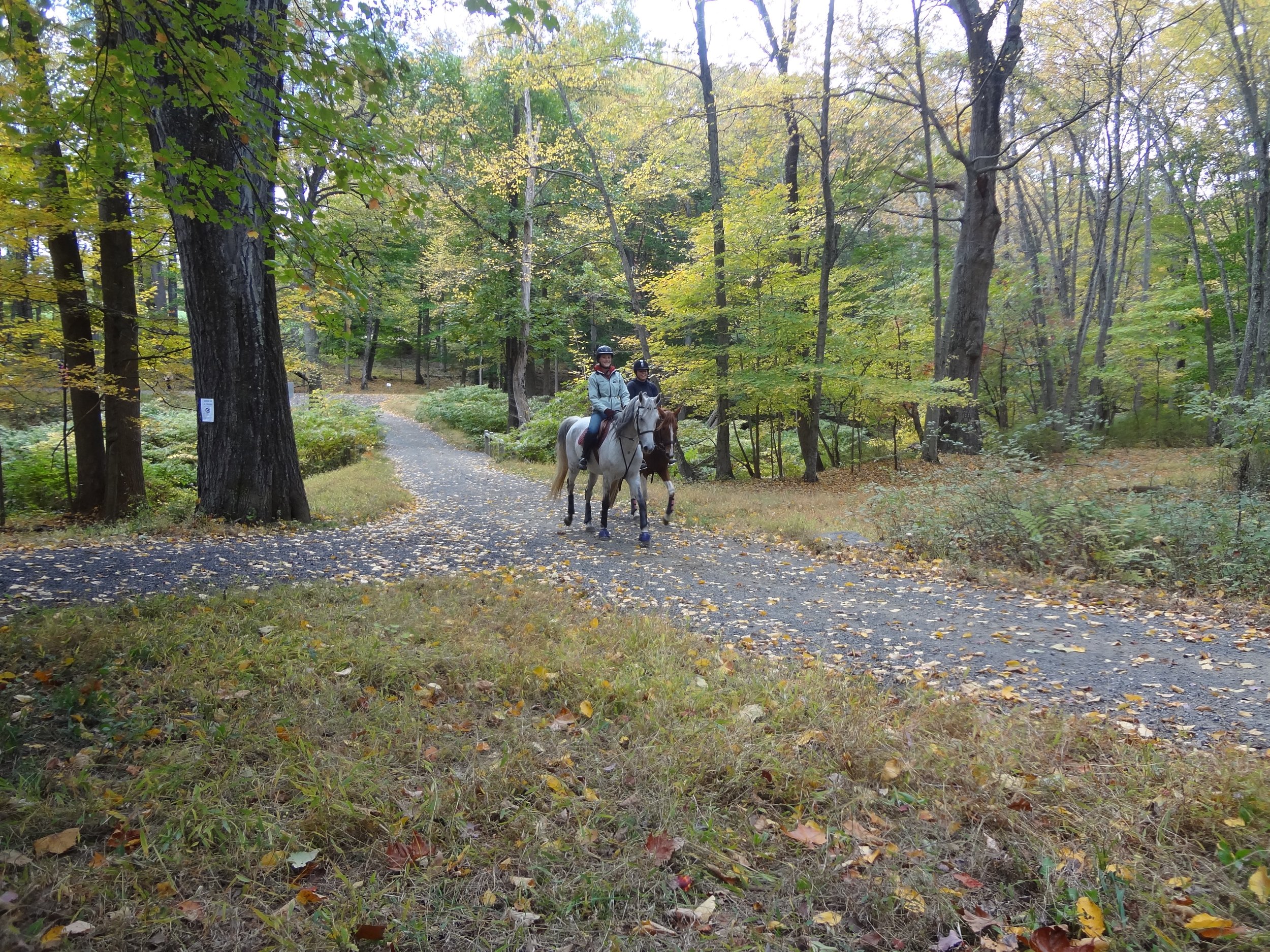 Trail Ride — Friends of the Rockefeller State Park