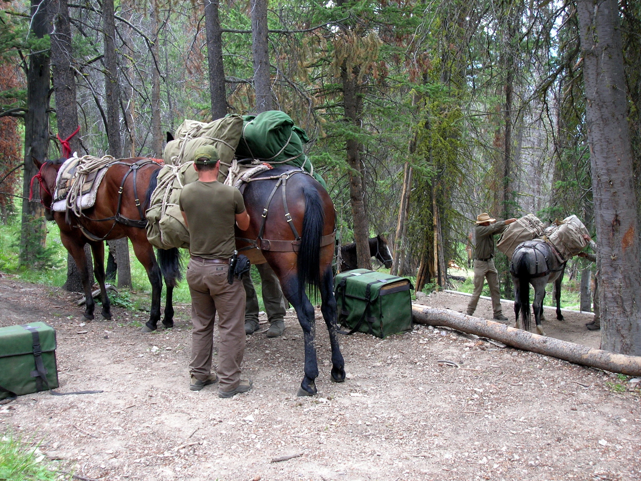 Guide & Packer School — Middle Fork Outfitters