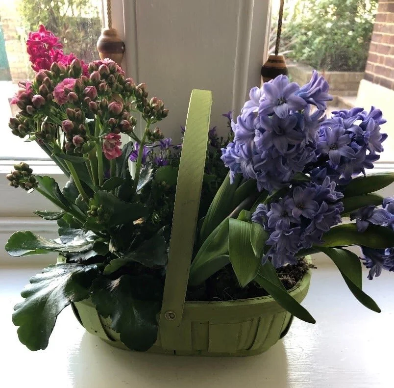 Latest News — Frances Taylor Foundation