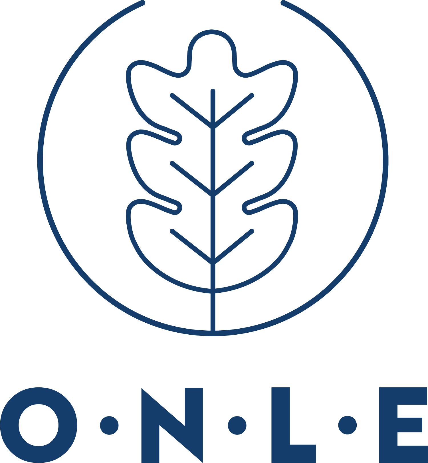 What is ONLE Networking and how did it begin? — ONLE Networking