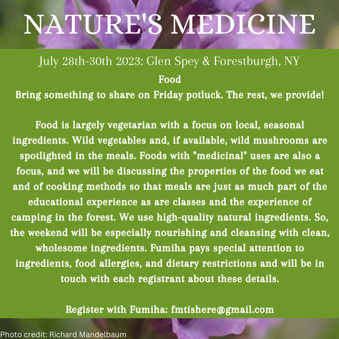 classes workshops and presentations — Richard Mandelbaum RH