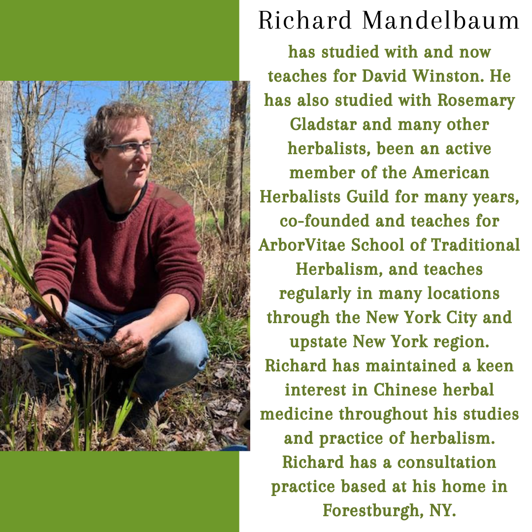 classes workshops and presentations — Richard Mandelbaum RH