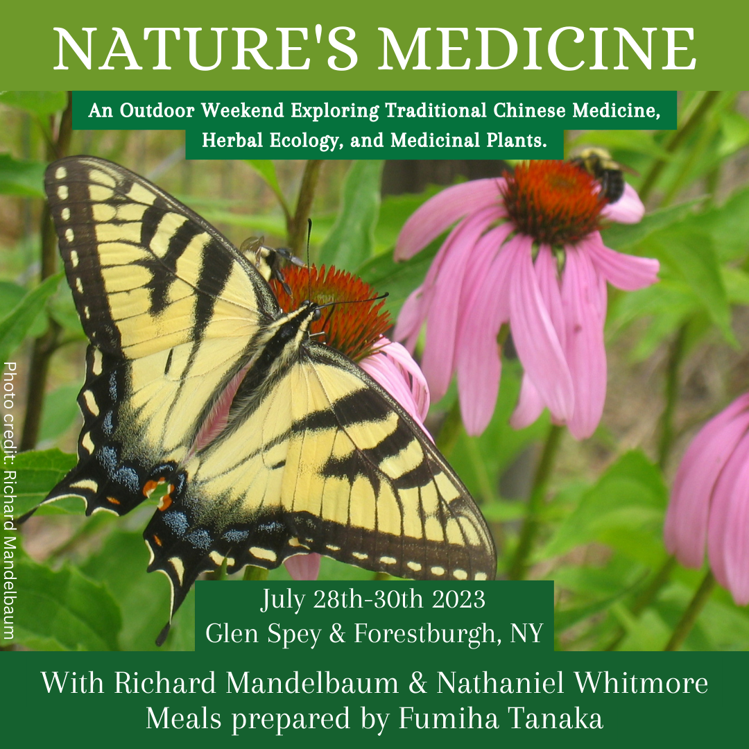 classes workshops and presentations — Richard Mandelbaum RH