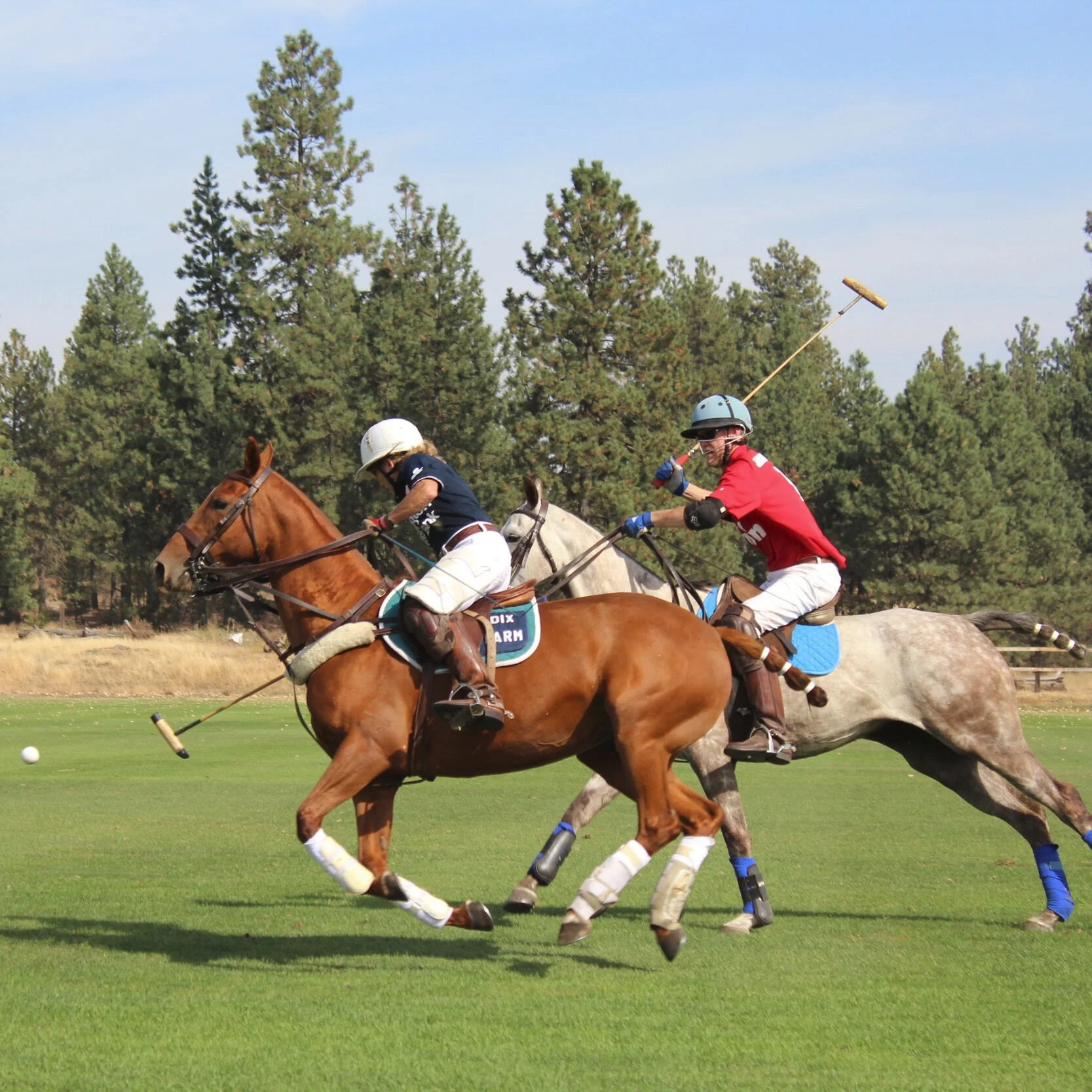 Spokane Polo Club