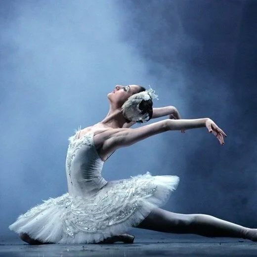 Metropolitan Ballet — Ballet Performance and Professional Development