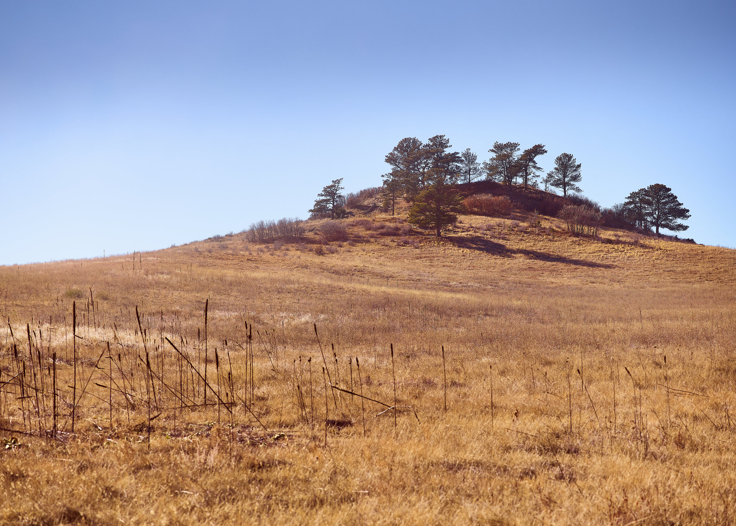 Cloutier Fotographic | Fine Art Giclée Photo Printing, Photo ...