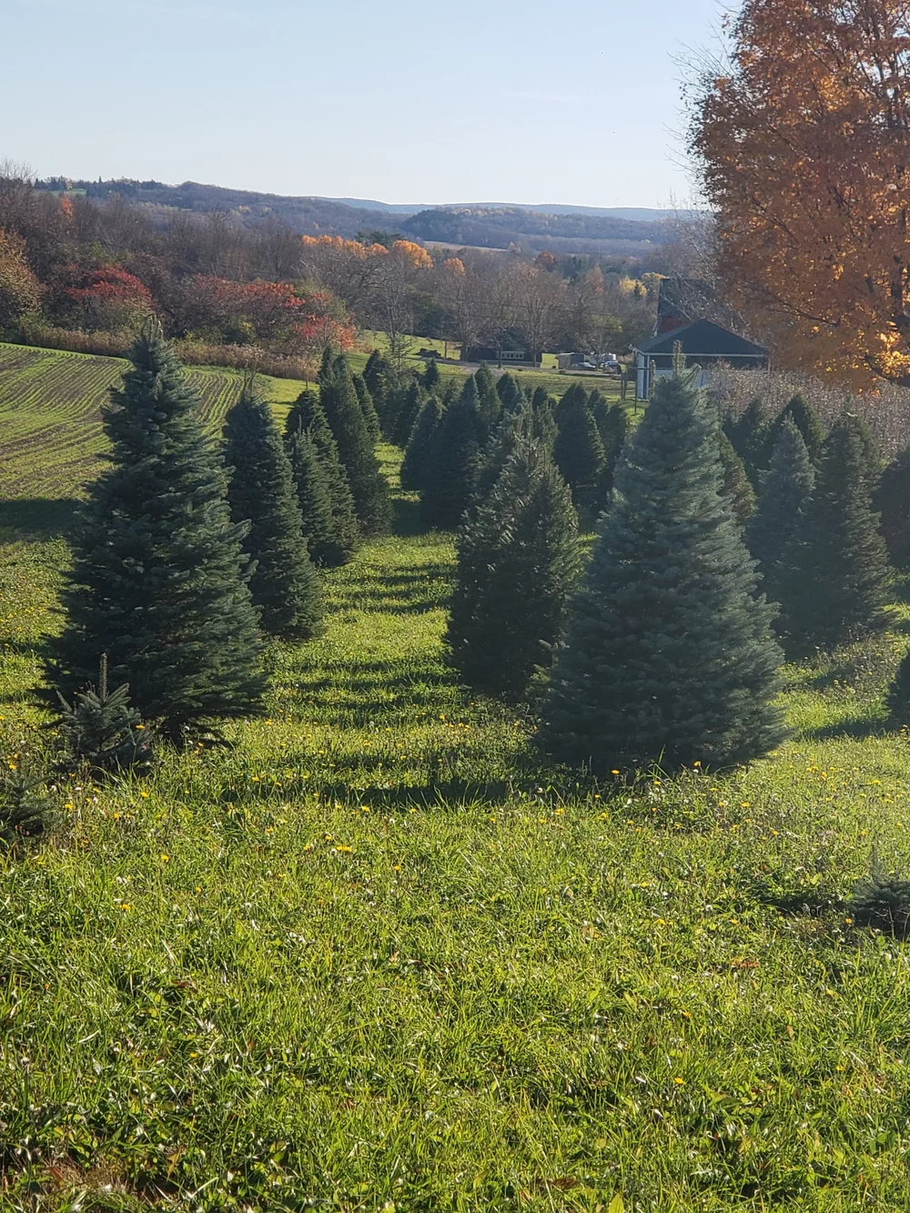 Adams Acres