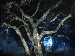 Calendar — ODEYA NINI