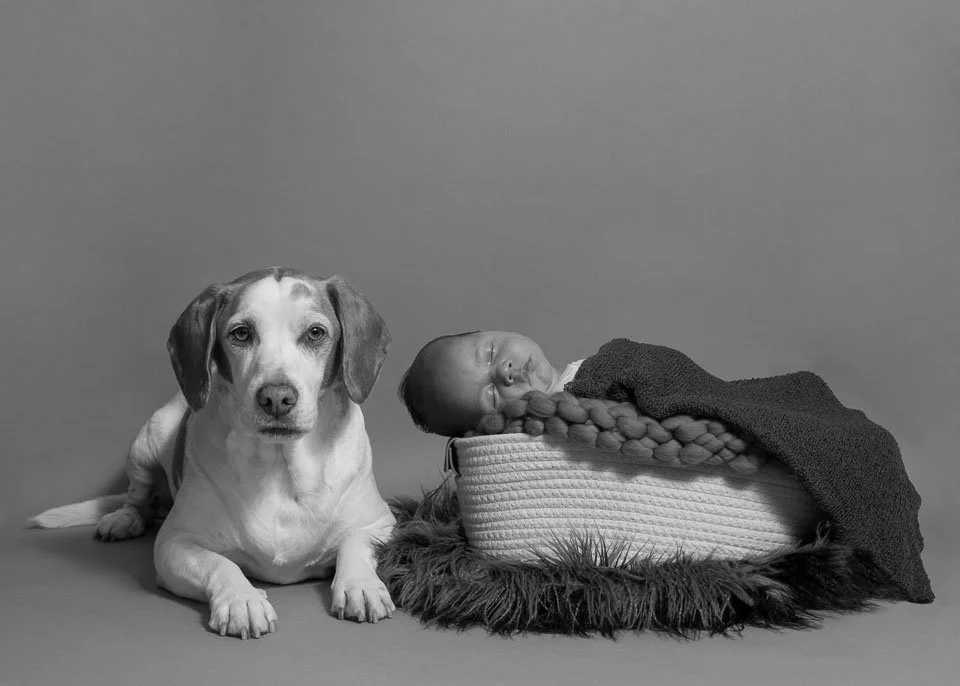 Babies — Soulful Pet Photography