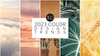 Leaning into Color: Favorite Color Trends of 2023 — Tara Nelson Designs