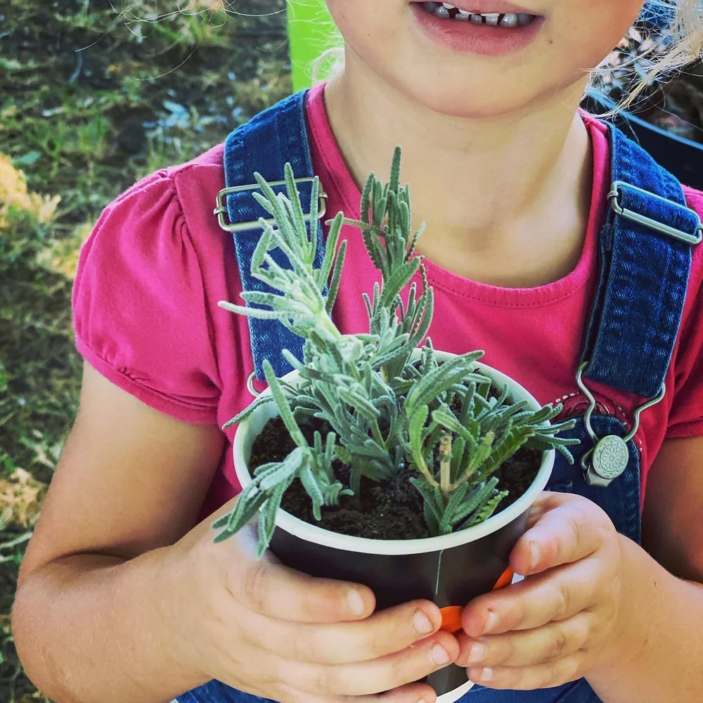 Little Sprouts — Playgroup Victoria