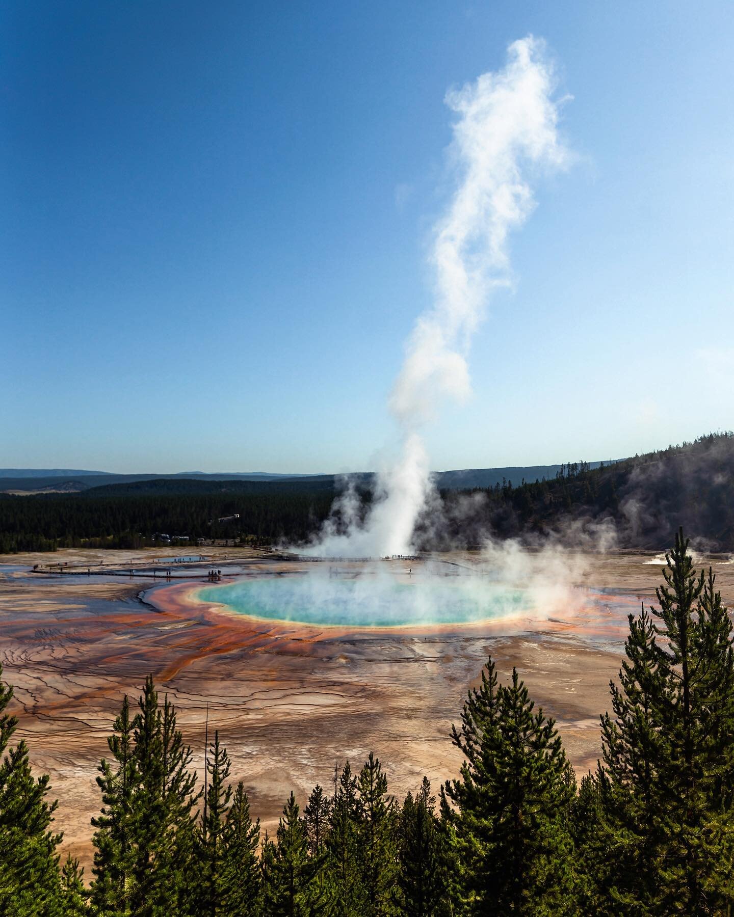 Gallery — Phillip ⚡ Silverstein