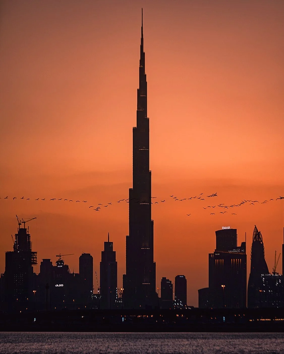 Gallery — Phillip ⚡ Silverstein